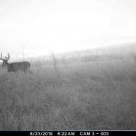 Cuddeback firmware update issues | Wildlife Habitat - Lets talk.....